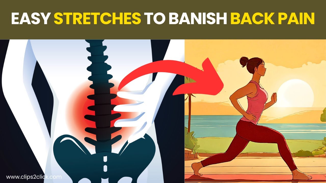 7 Best Lower Back Pain Exercises to Relieve Pain and Improve Mobility ...
