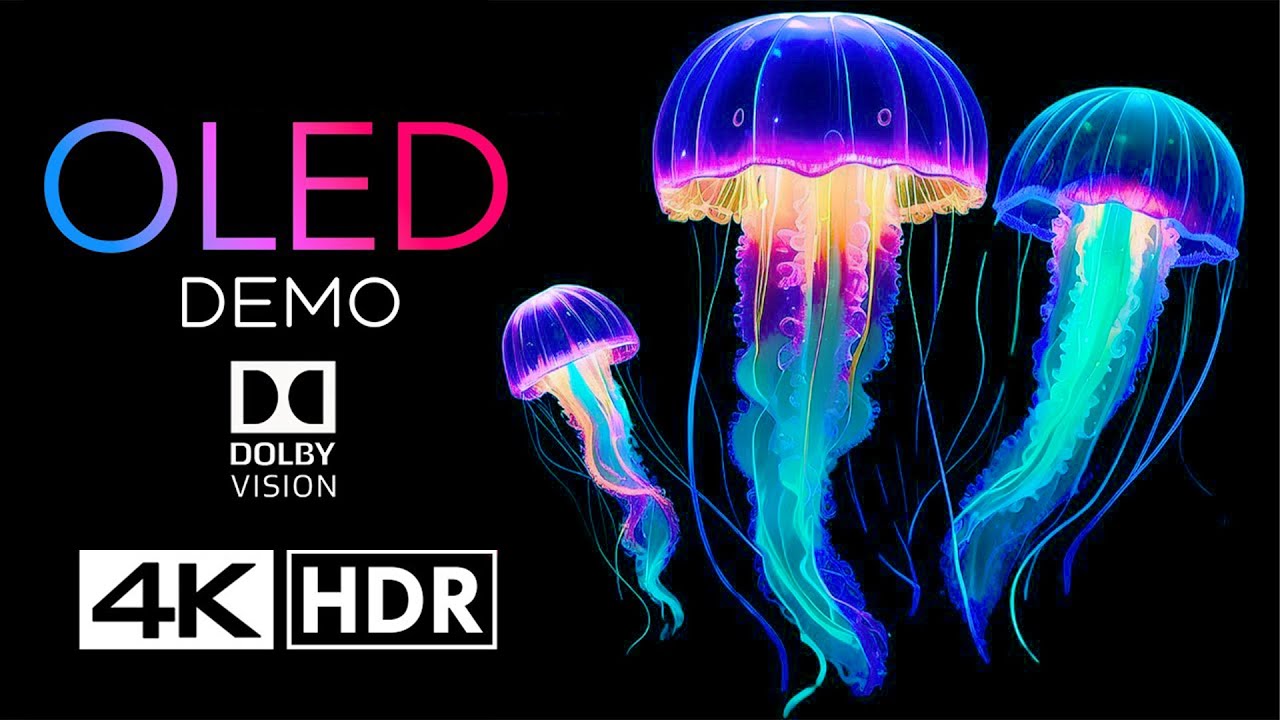 Ocean Life OLED Demo HDR 4K 120FPS Dolby Vision™ - YouTube