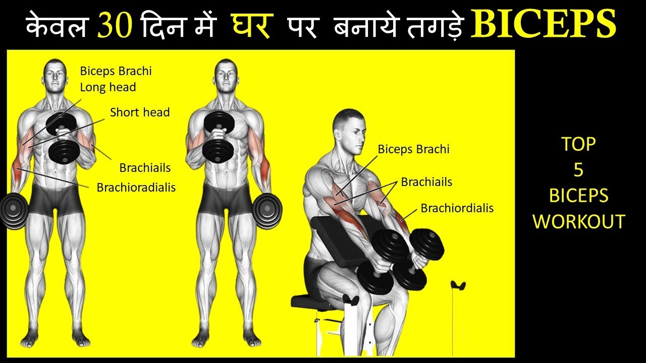 RAPID EXCERCISE | Best biceps workout | Top-5 excercise for Biceps ...
