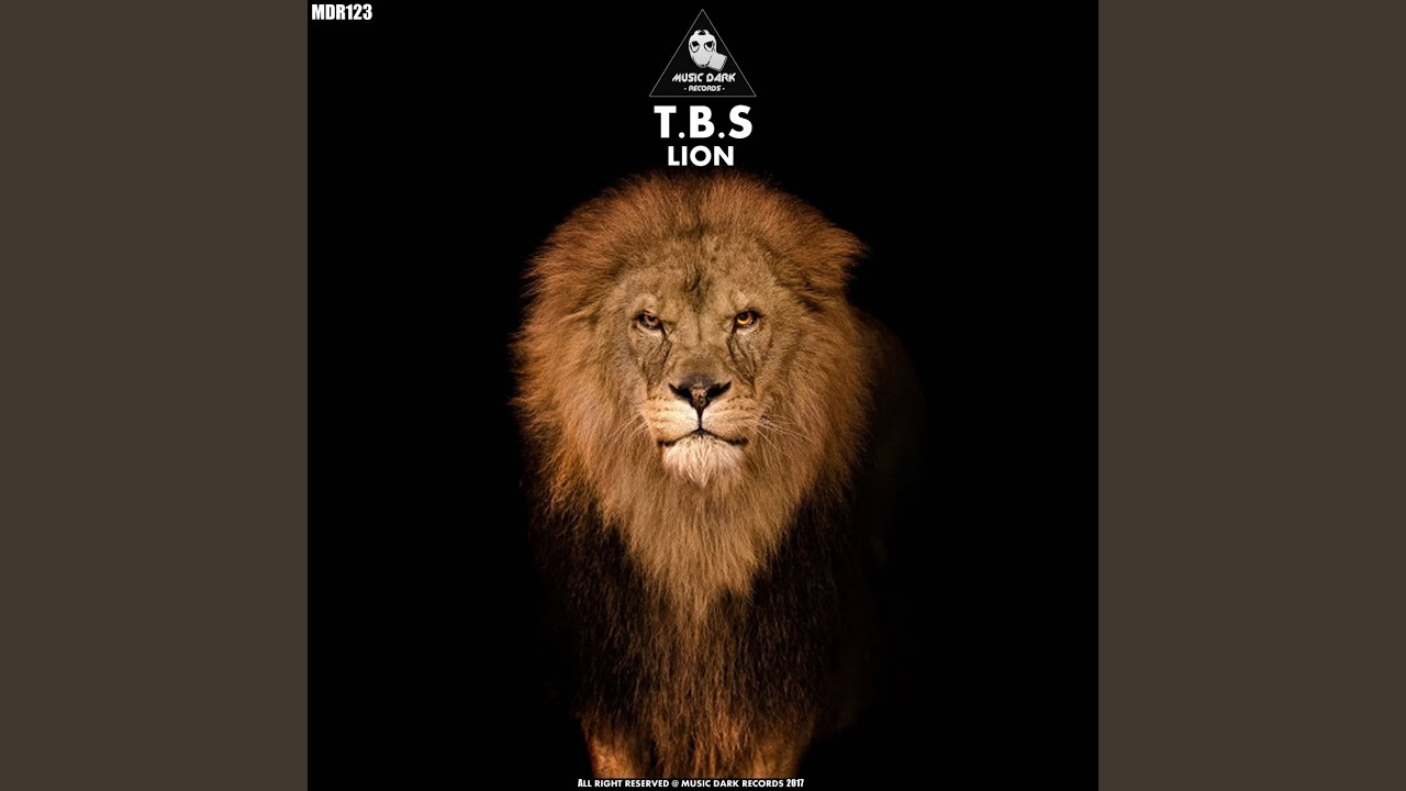 Lion (Original Mix) - YouTube
