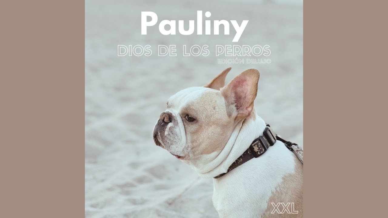 Dios De Los Perros - YouTube