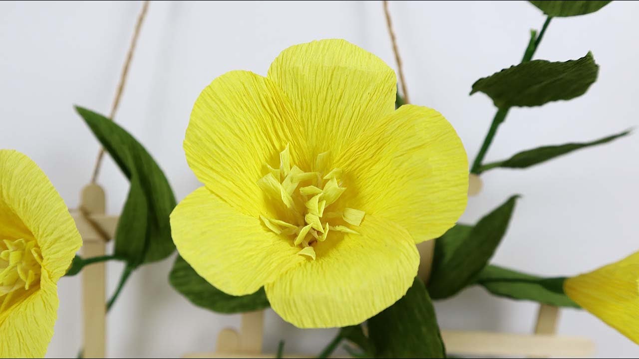 DIY Allamanda Cathartica Paper Flowers |How To Make Allamanda ...