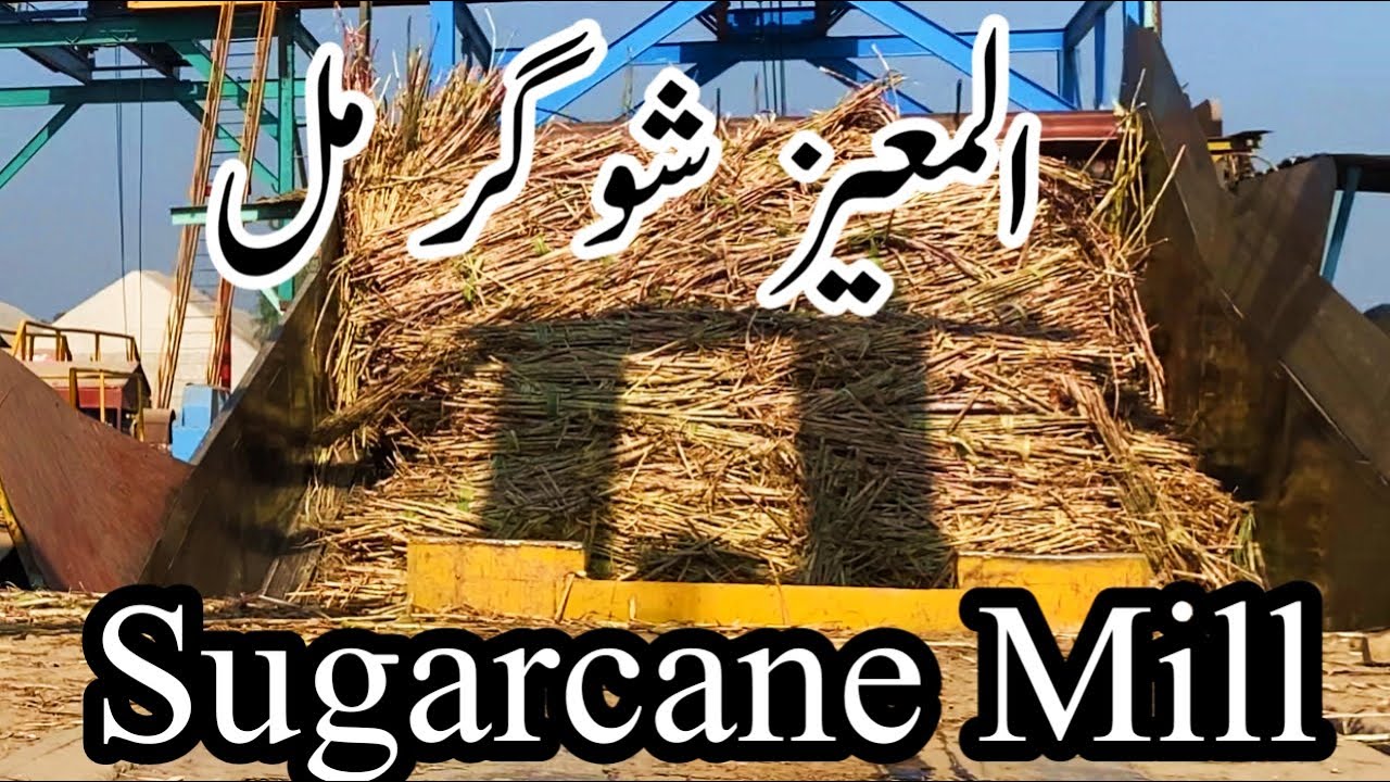 Almoiz Sugar Mill D I khan Kpk / Asian Vlogs Raees - YouTube