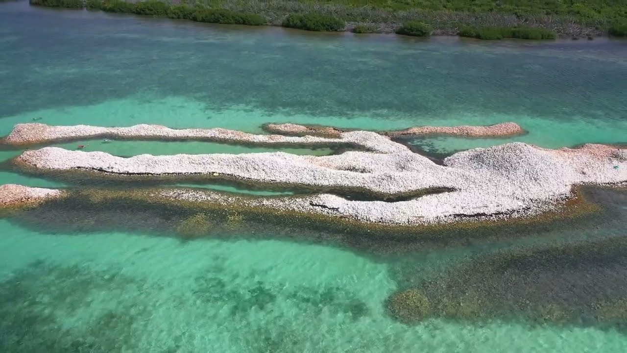 Conch Island World - YouTube