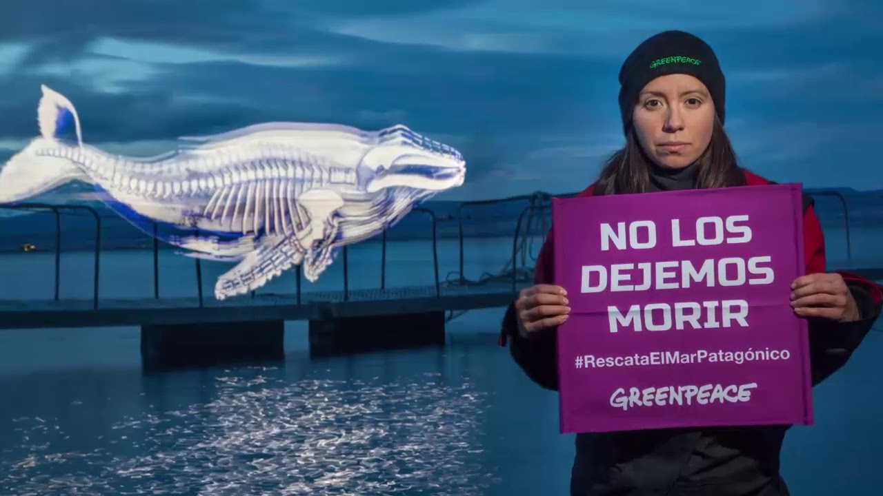 Mira lo que logramos JUNTOS - YouTube