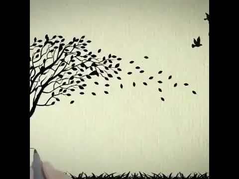 Whatsapp ucun marakli video