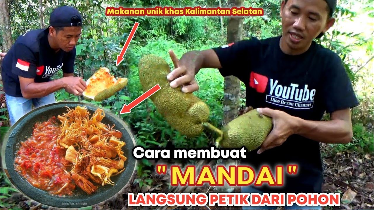 Cara membuat Mandai ( makanan unik dari kulit cempedak khas Kalimantan ...