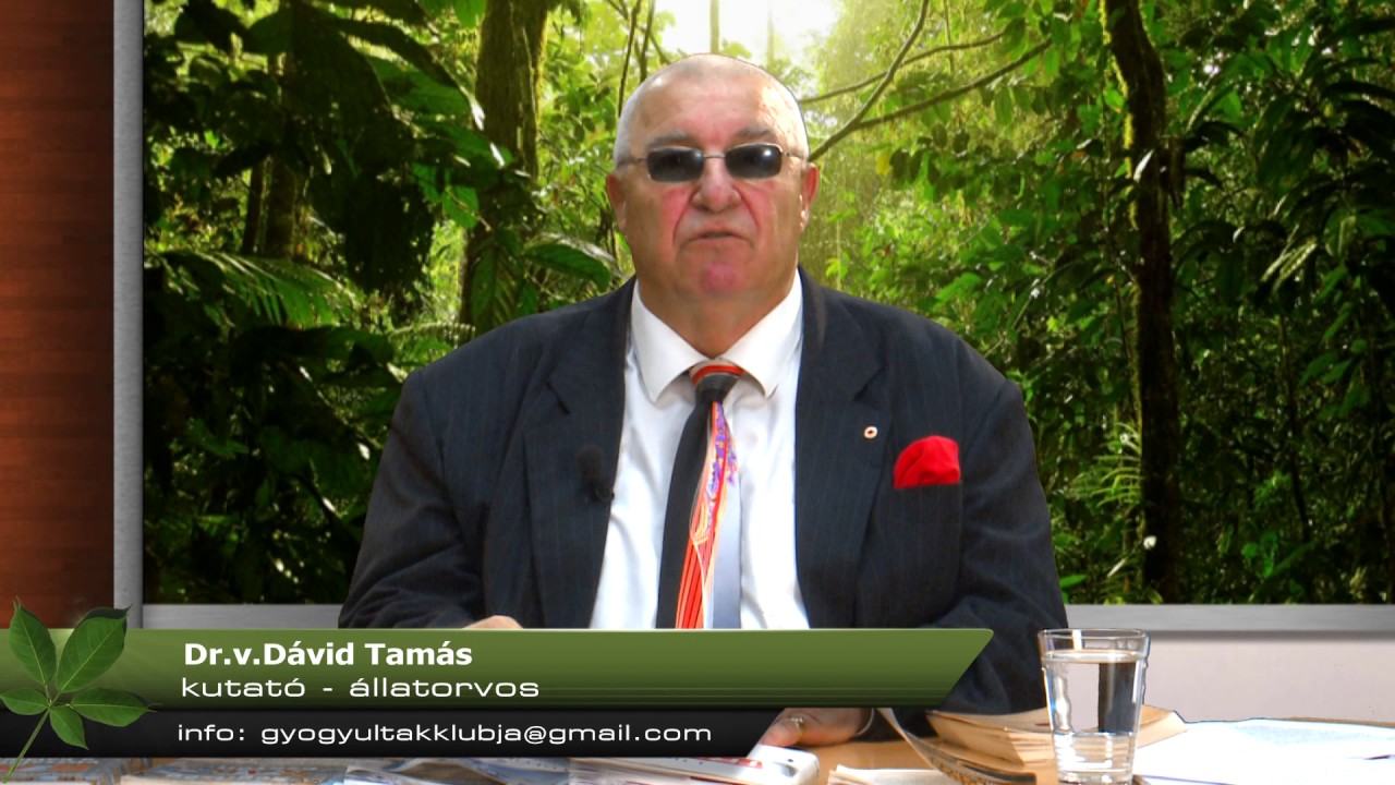 Gyógyultak Klubja 25. | dr.v. Dávid Tamás videóblogja - YouTube