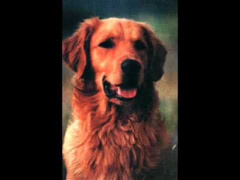 Original 1998 Art Bell - Robert Raith Introduces The Dr Jonathan Reed ...