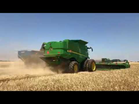 2018 Texas Wheat Harvest- Thurman Harvesting - YouTube
