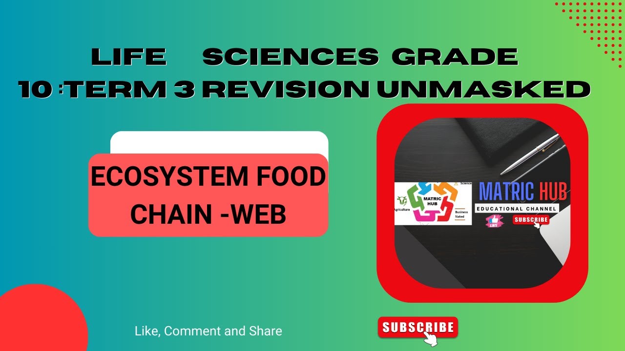 Life Science Grade 10 Term 3 - Revision Work Unmasked: Food Chain - Web ...