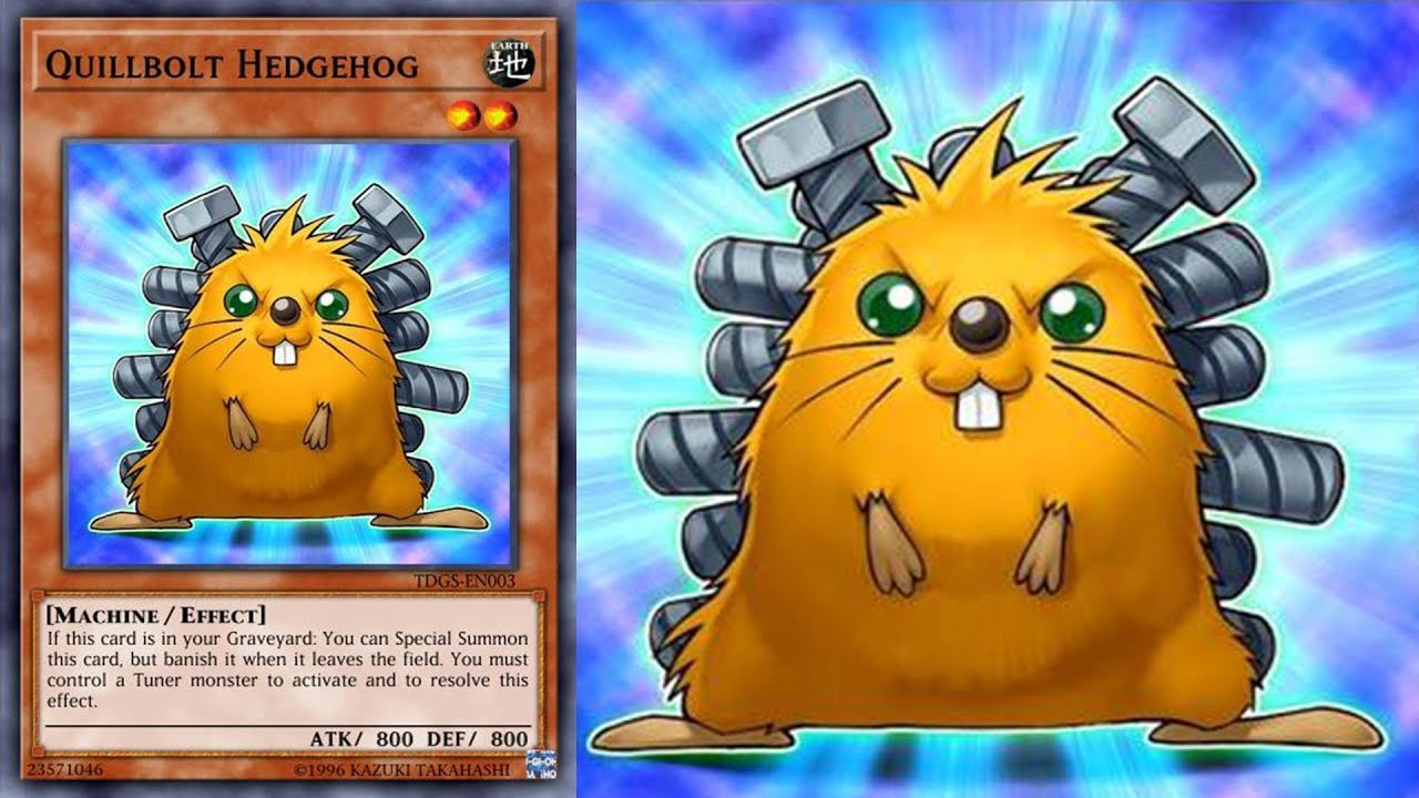 Quillbolt Hedgehog