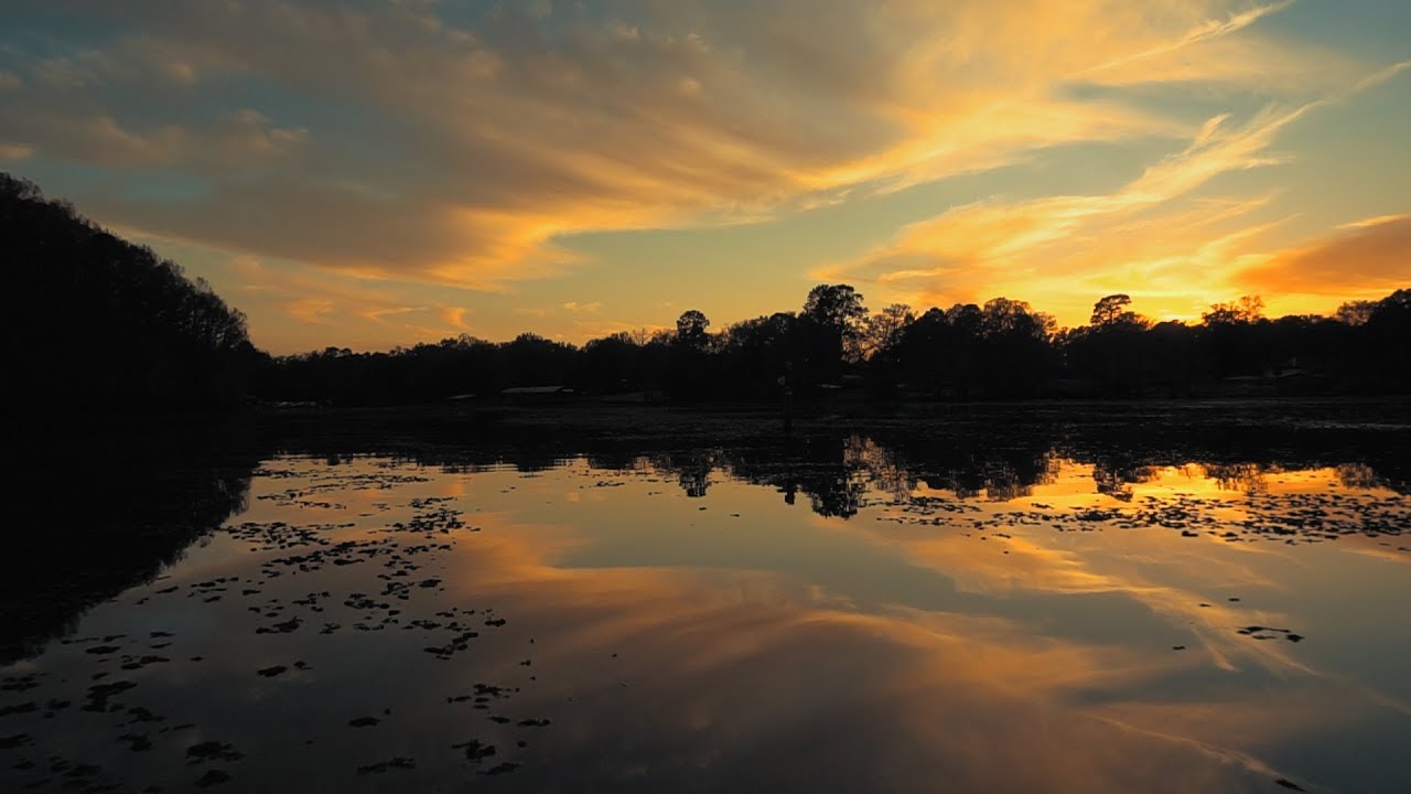 We Went on a Boat Tour | Caddo Lake, Texas. - YouTube