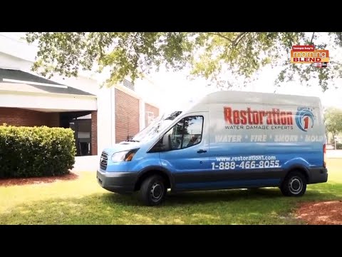 Restoration 1 | Morning Blend