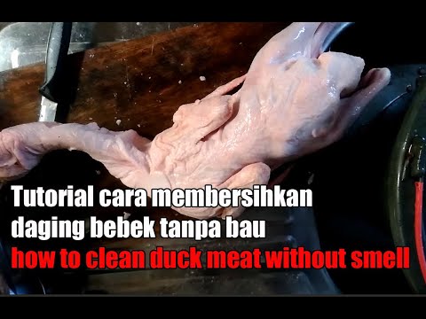 Tutorial Cara Membersihkan Daging Bebek Agar Tidak Berbau