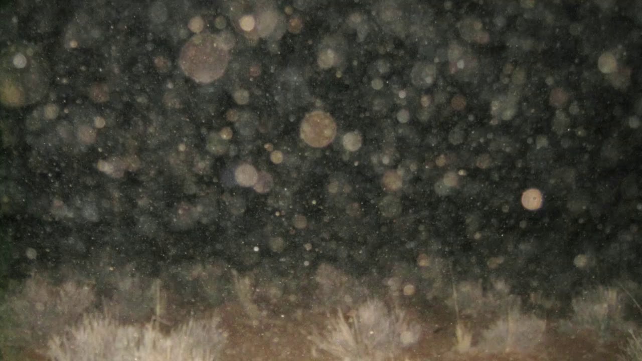 Nibiru/Planet X/Planet Ships- Next to the Sun On Soho + Orbs /Spirit ...