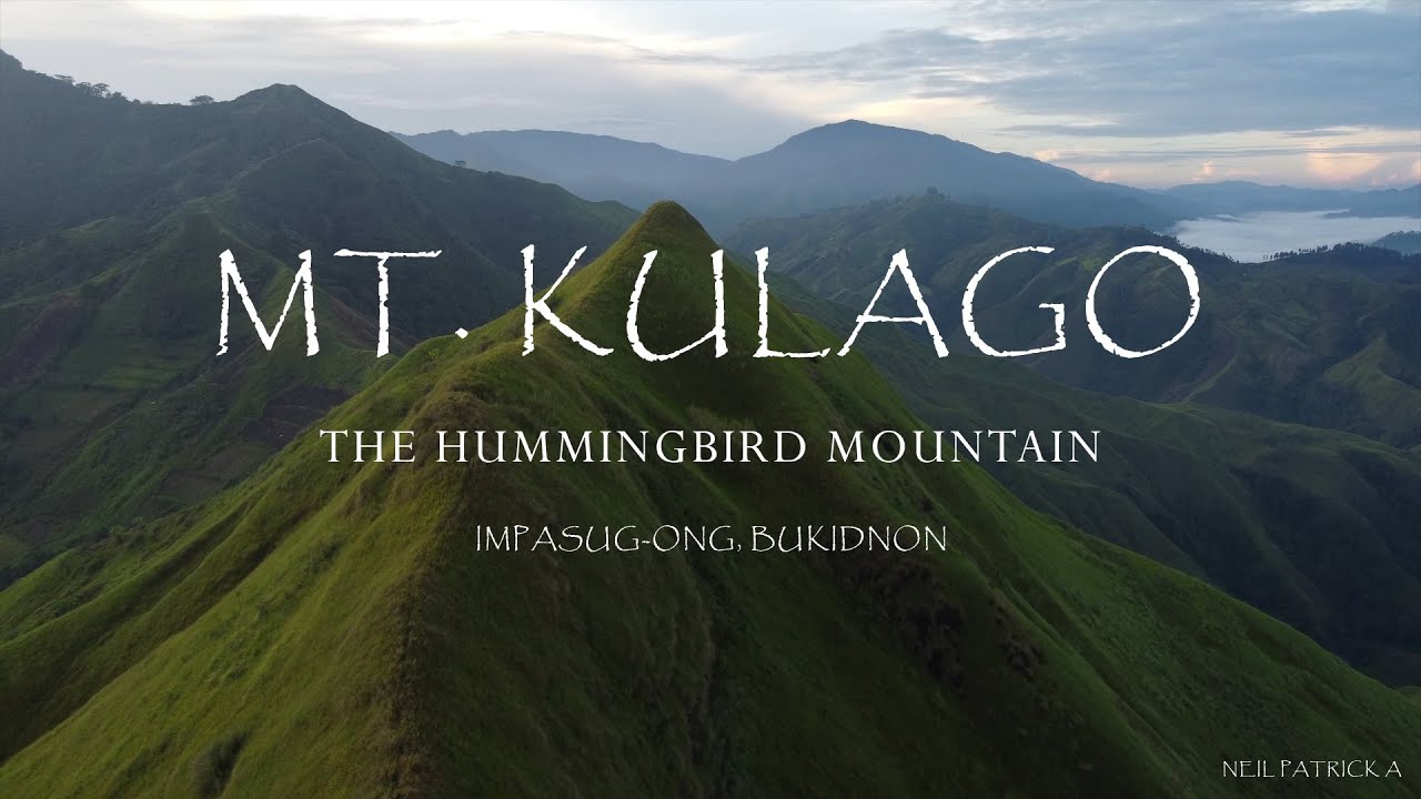 Mt. Kulago "The Hummingbird Mountain" Drone Shots - YouTube