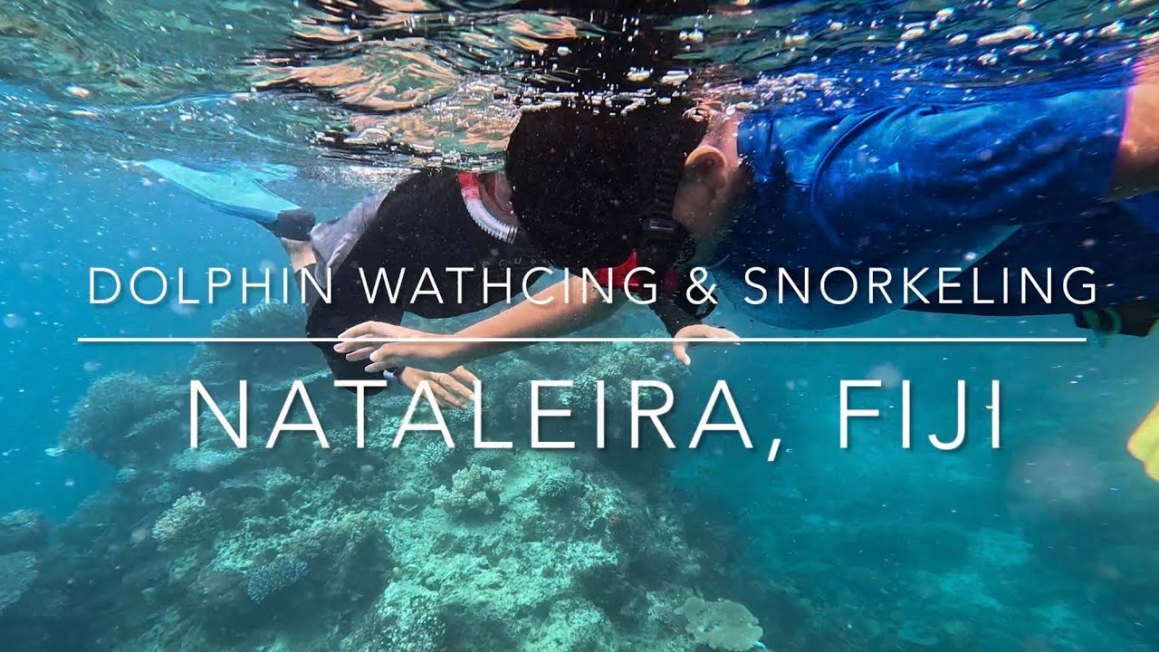 Dolphin Watching & Snorkeling, Moon Reef, Nataleira Village, Central ...