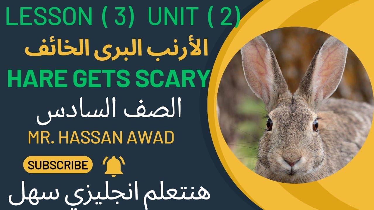 الارنب البرى الخائف Hare gets scary - YouTube