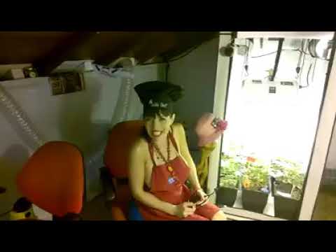 Indoor