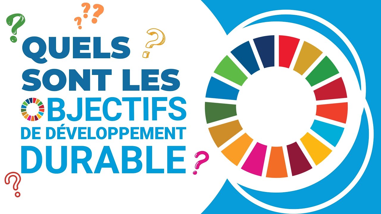 Qu'est-ce que les Objectifs de développement durable? - YouTube