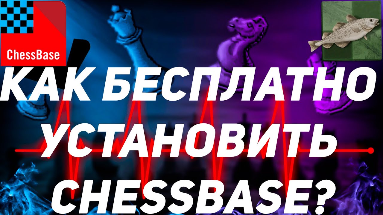 Как бесплатно установить ChessBase? - YouTube
