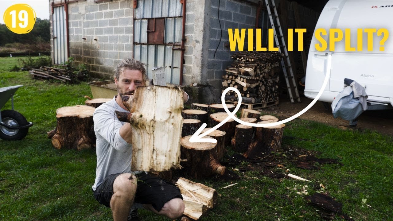 19 - A Week of Chopping And Stacking Firewood! 🍂🪵🪓 - YouTube