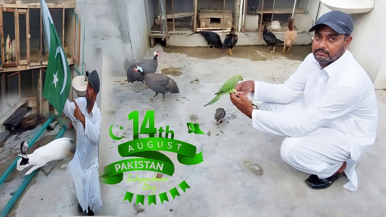 Hum Sab Pets le Ja Rahe Hein Apny Pet HouseMein!adopt a pet - YouTube