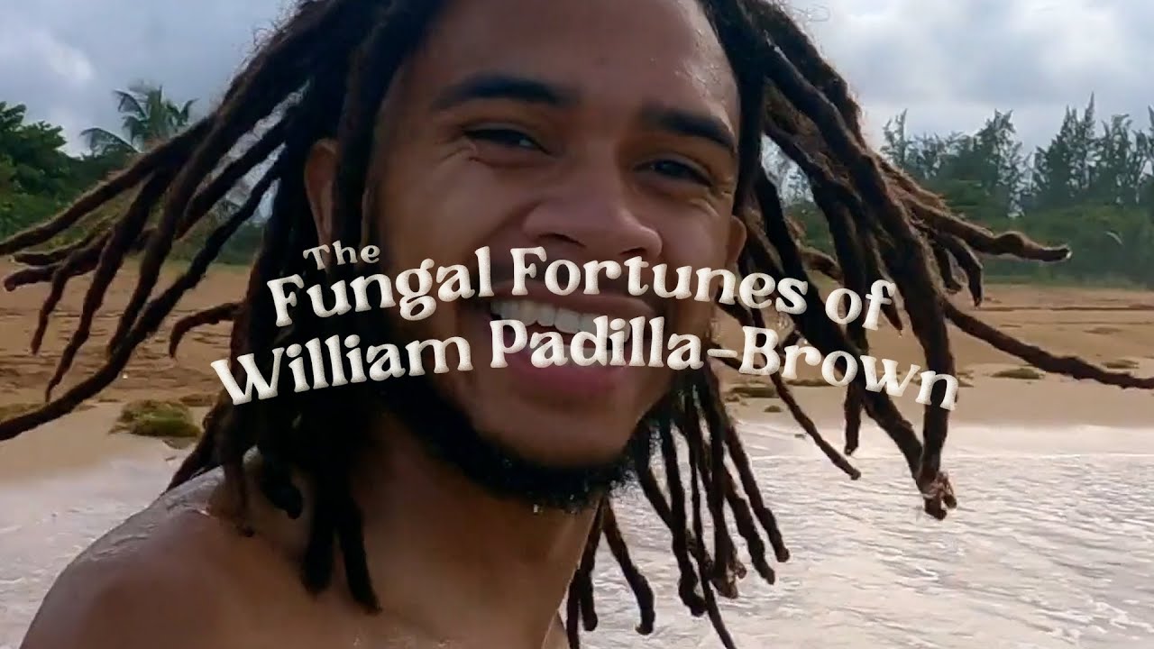 The Fungal Fortunes of William Padilla-Brown - YouTube