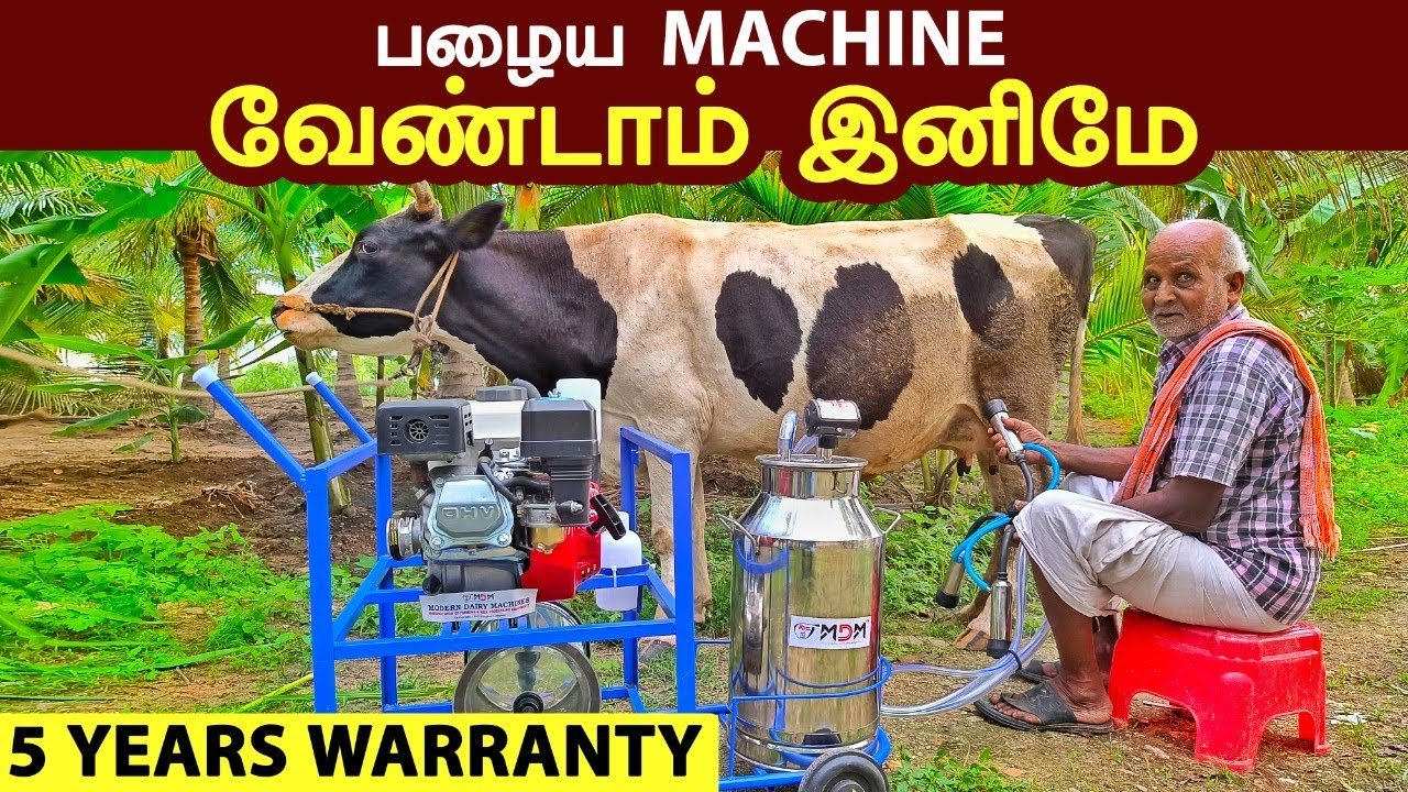 Amazing Modern Automatic Cow Farming Technology | Cow milking | Cow ...