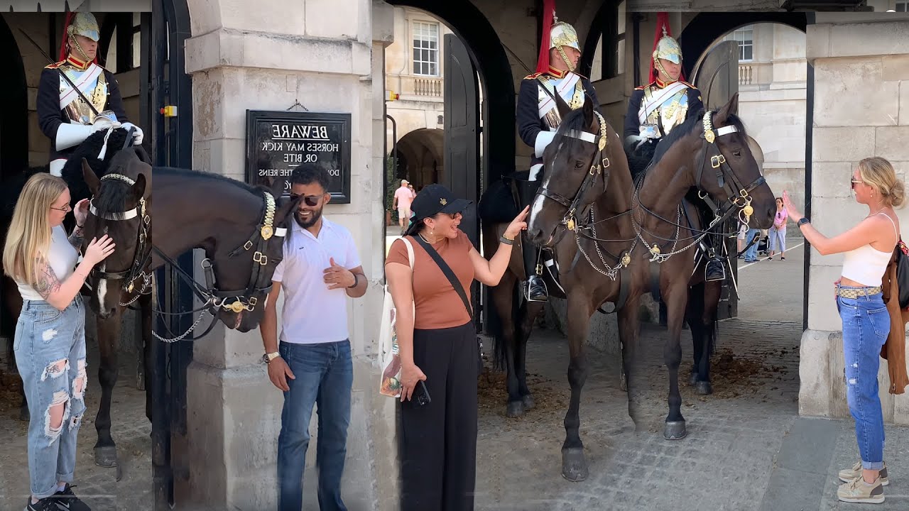 Tourists enjoy their time with the king's horse at Horse Guards Parade ...
