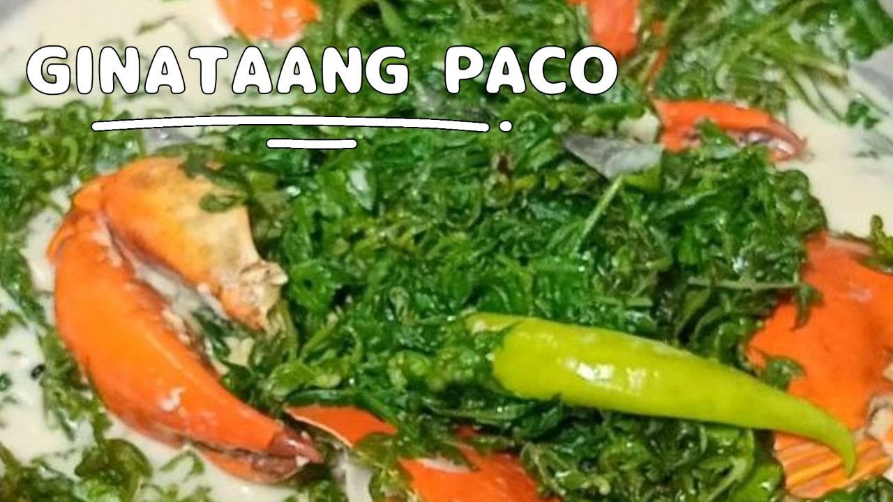 GINATAANG PACO WITH ALIMANGO / PACO LEAVES AND CRAB IN COCONUT MILK ...