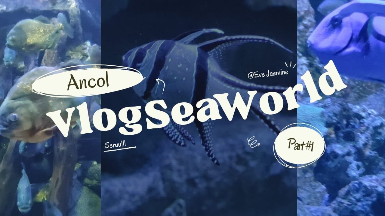 Vlog Ke Seaworld Ancol | Part #1 | Seaworld🦈🐟🪸 - YouTube