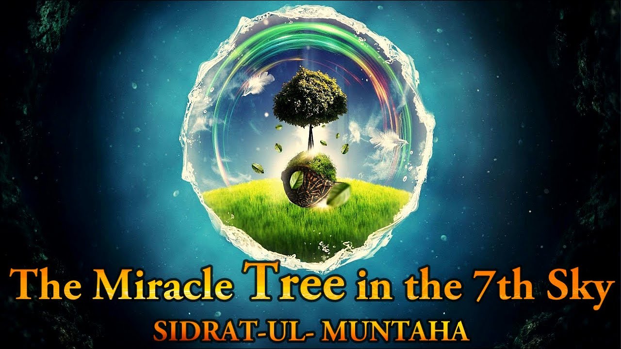 The Miracle Tree in the 7th Sky - YouTube