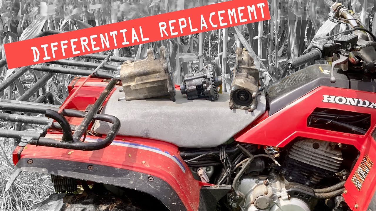 Honda ATV Front Differential Service/Replacement - YouTube