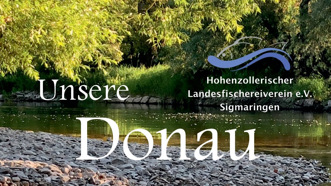 Fischen obere Donau bei Sigmaringen - Hohenzollerischer Landesfischerei ...