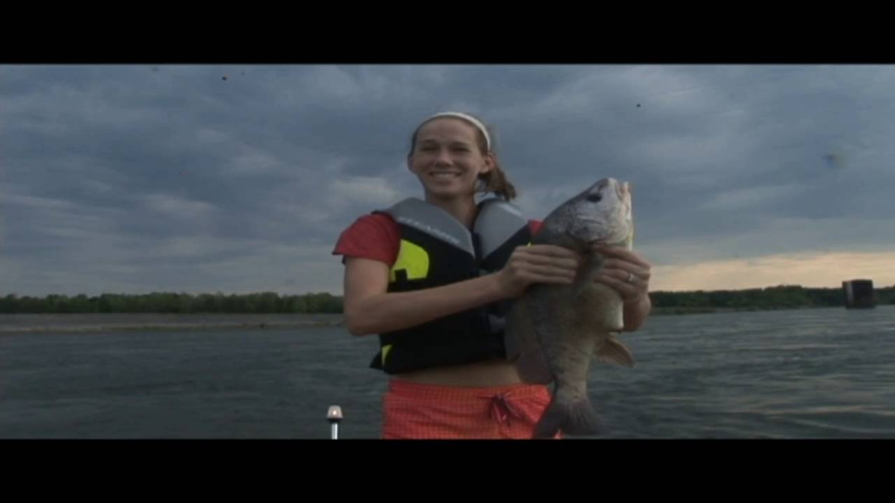 A Hunting Show Part 26: Fishing Pickwick Dam Tailwaters - YouTube