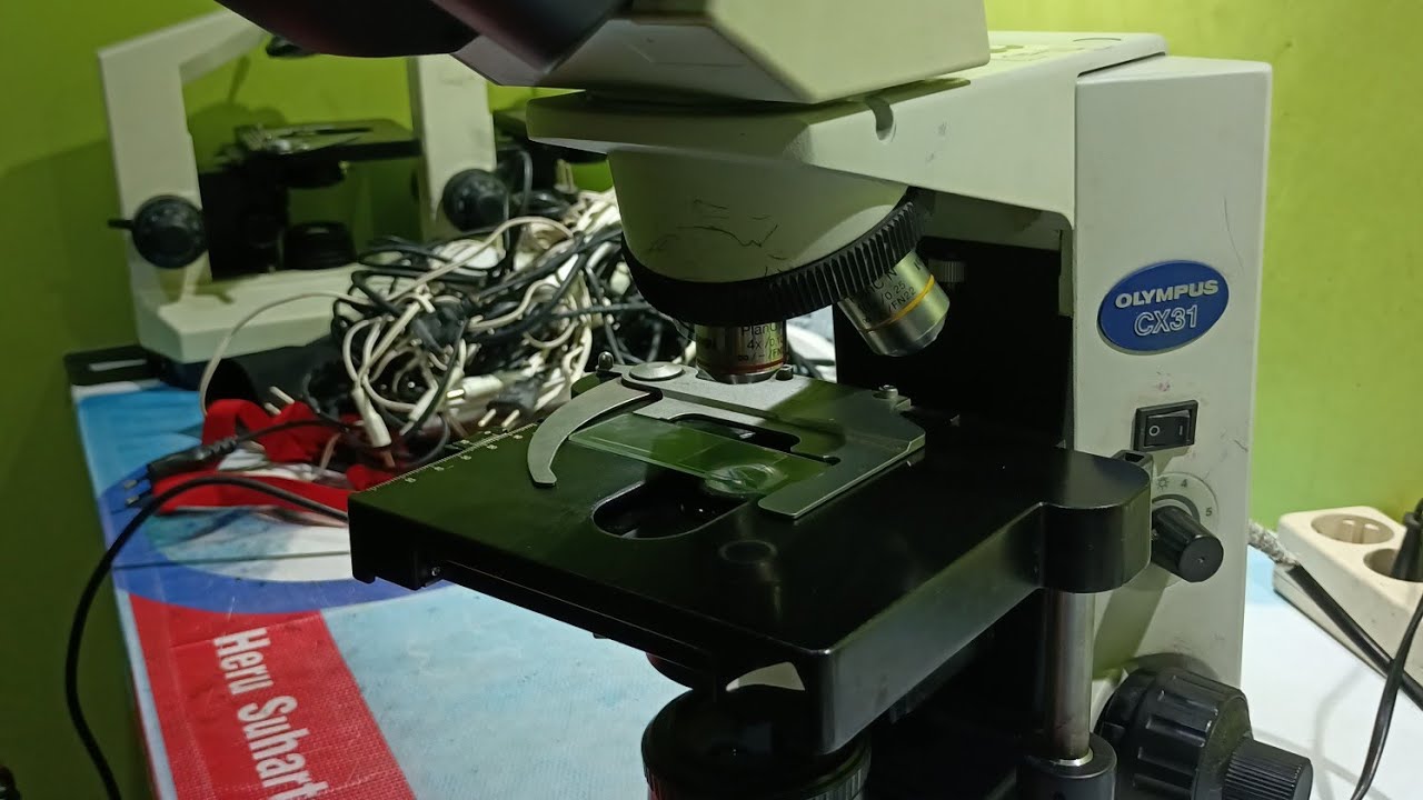 Service Microscope Binokuler Olympus CX 31 - YouTube