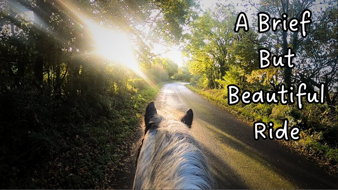 A brief but beautiful early morning ride with Blue / Hacking & chatting ...