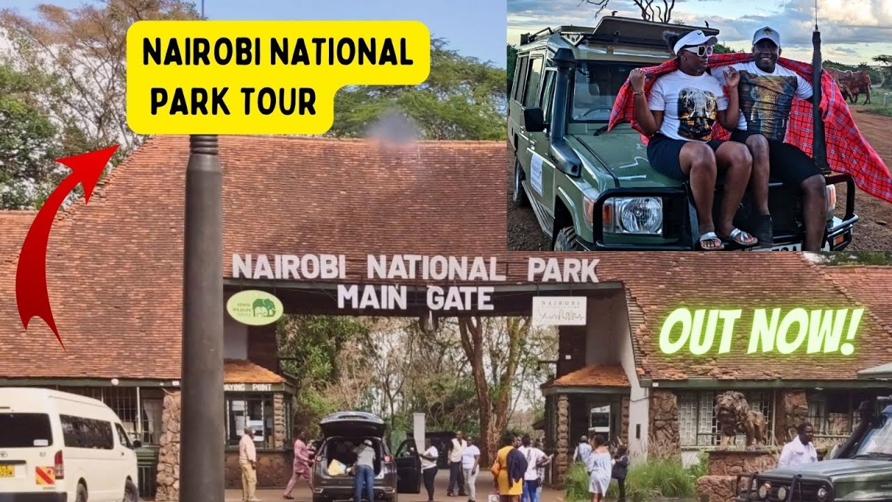 NAIROBI NATIONAL PARK GAME DRIVE - YouTube
