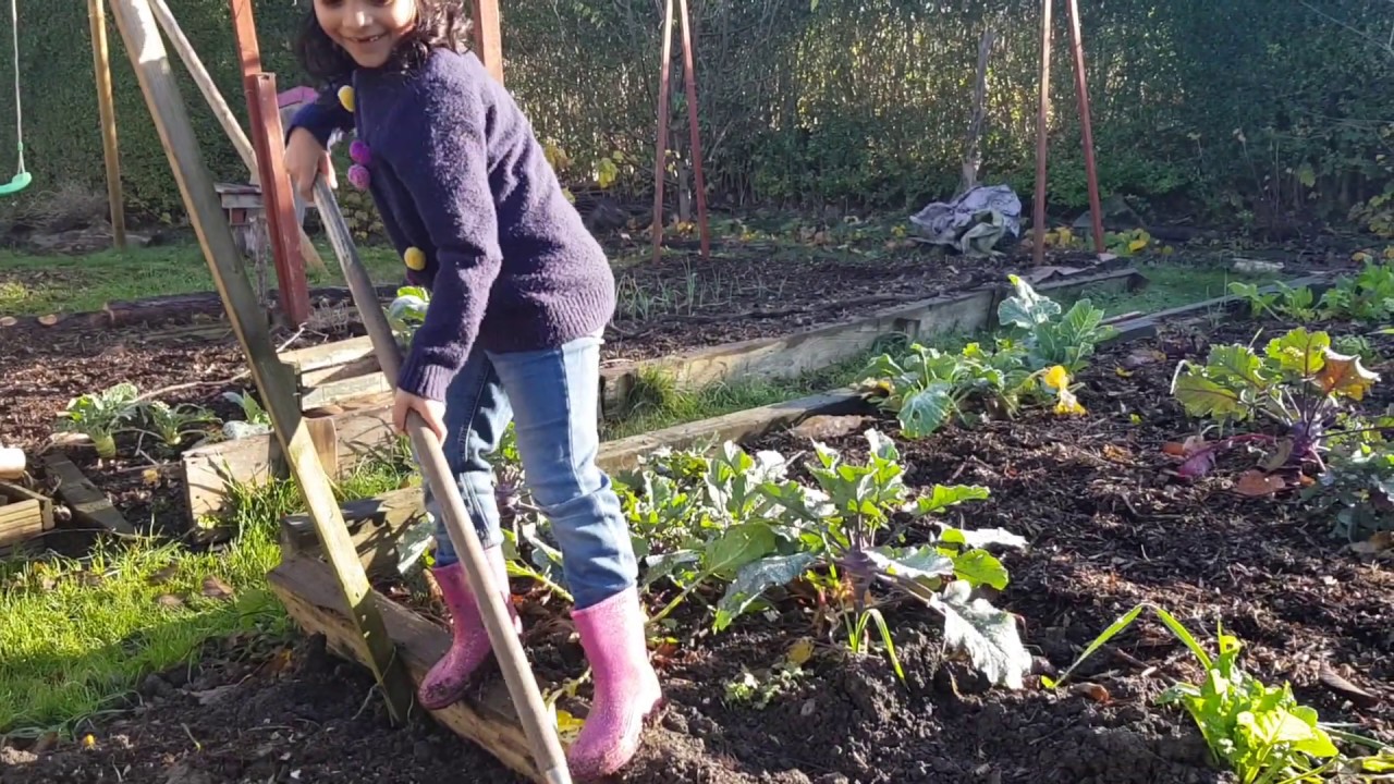 Preparing beds for winter, Trench Composting and Mulching - Runner ...