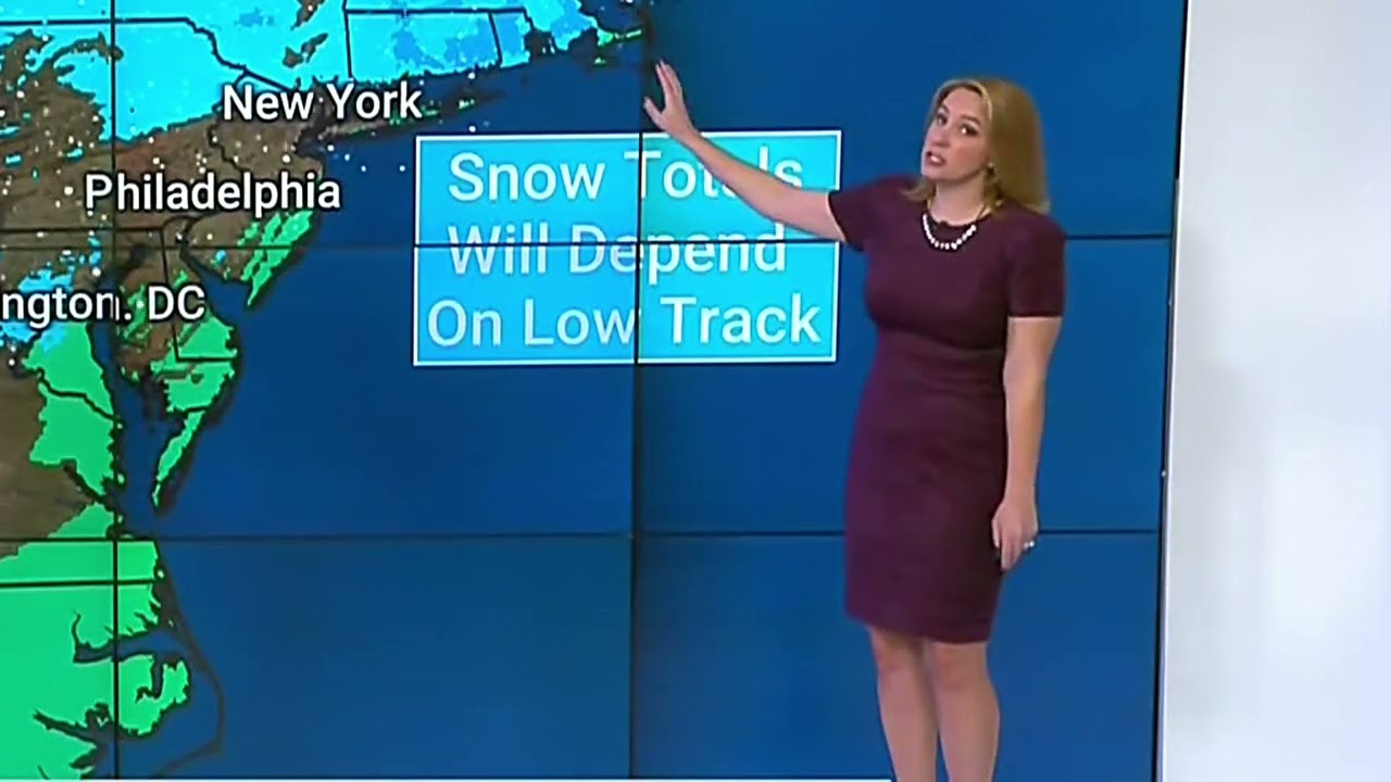 Alex Wilson - The Weather Channel - 120621 Purple Dress - Easy On The ...