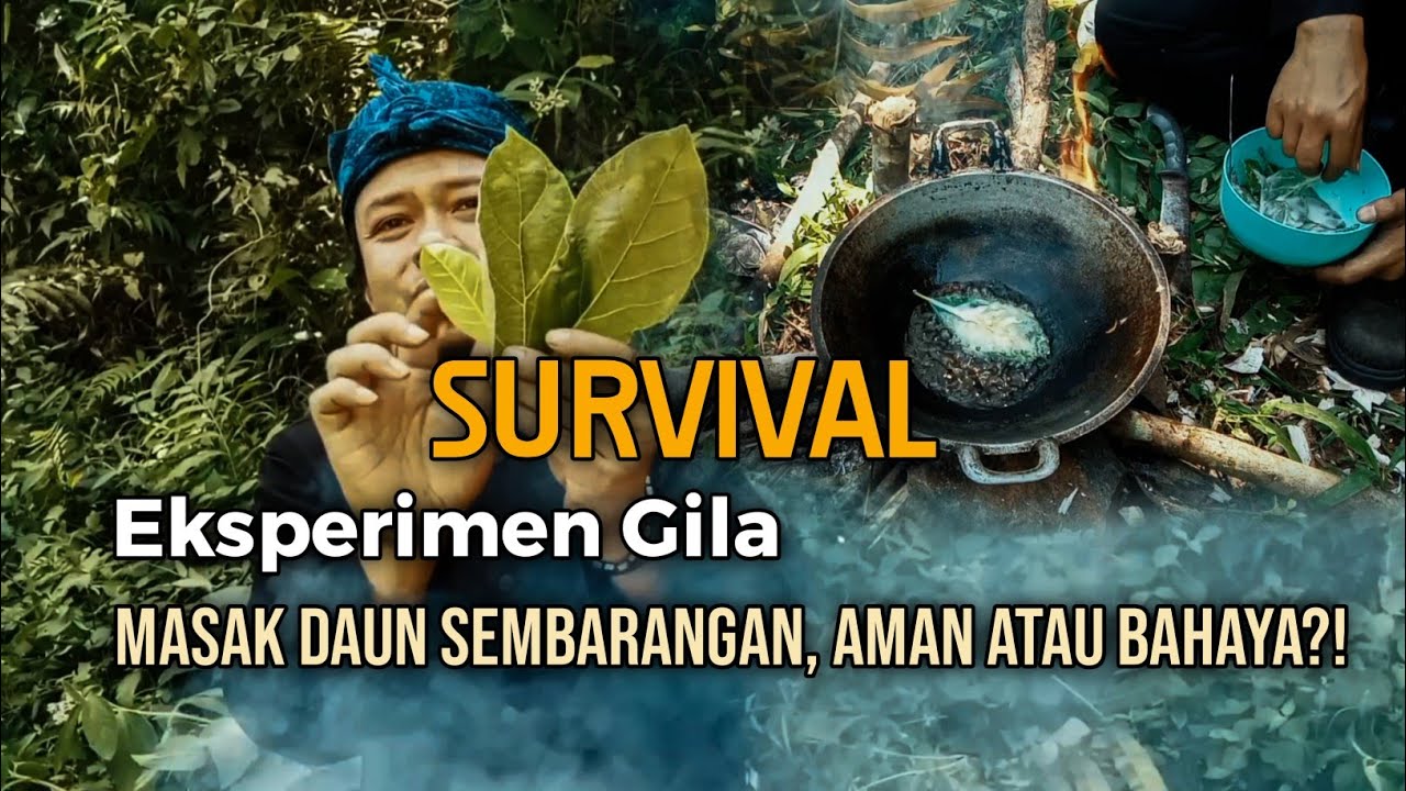 Survival eksperimen gila makan daun sembarangan, aman atau bahaya?! - YouTube