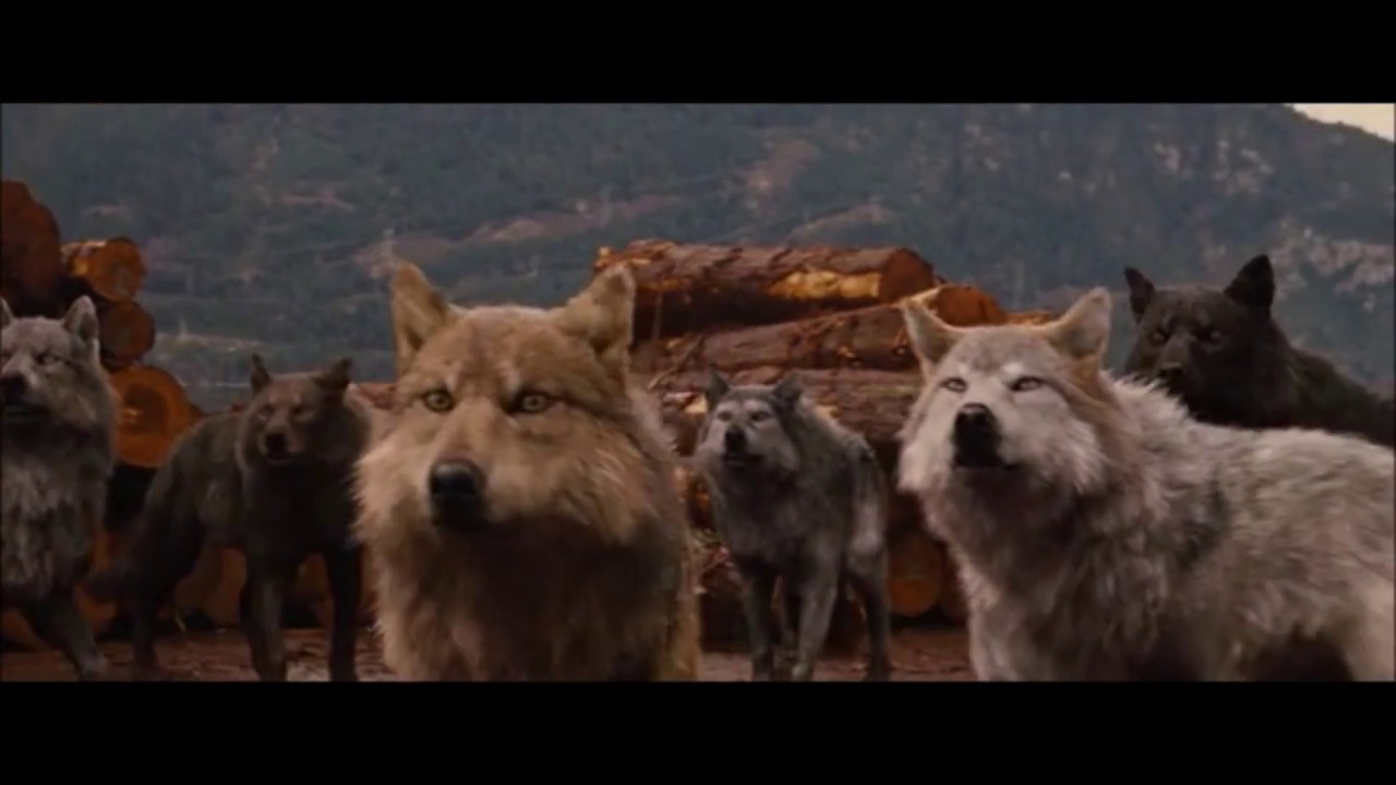 Jacob si ribella a Sam - ITA-HD - YouTube