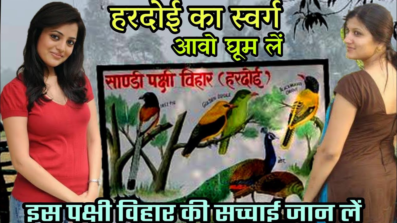 सांडी पक्षी विहार हरदोई | Saandi pakshi vihar Hardoi Uttar Pradesh ...