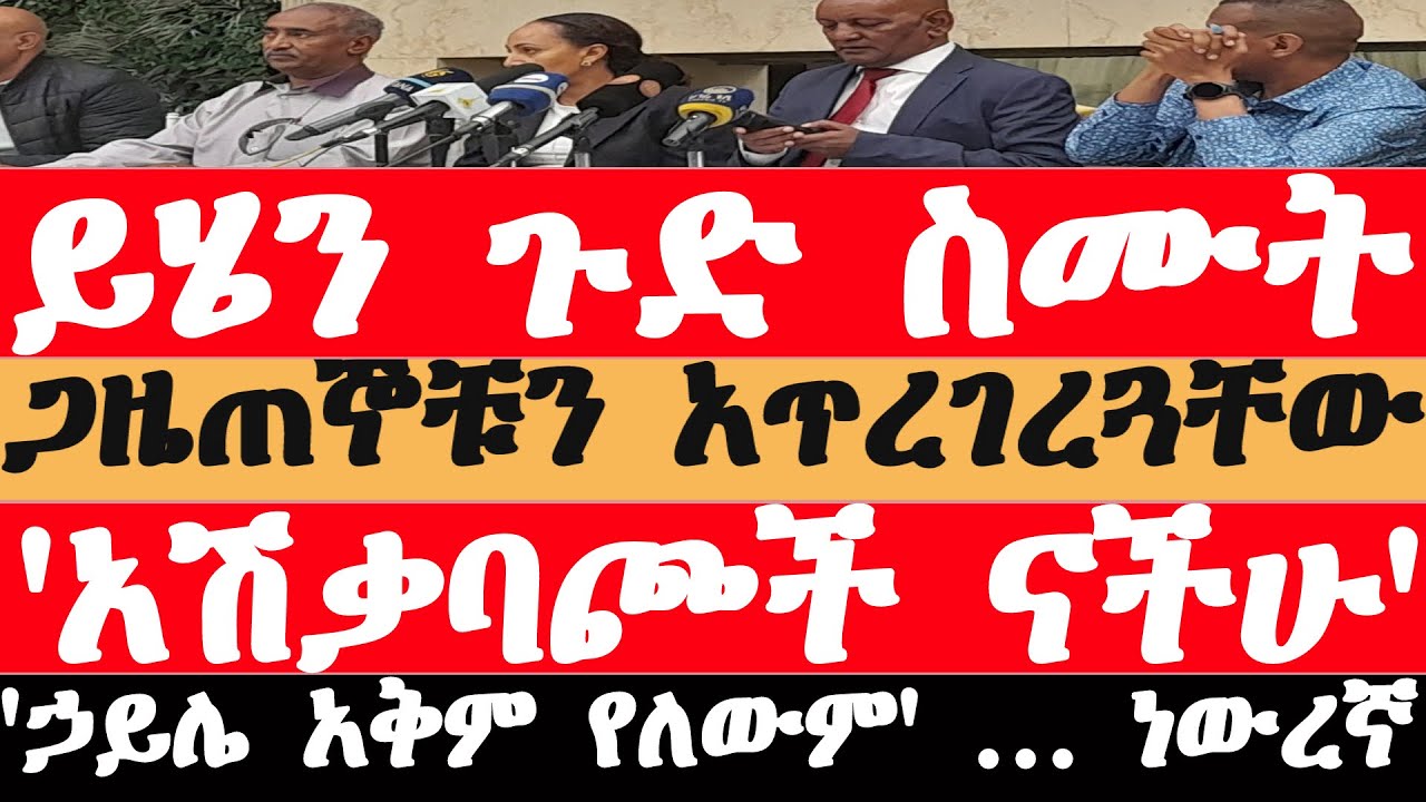 D/r Ashebir Woldegiorgis interview ዶ/ር አሸብር መግለጫ/ጋዜጠኞችን አጥረገረጓቸው/አሽቃባጮች ...