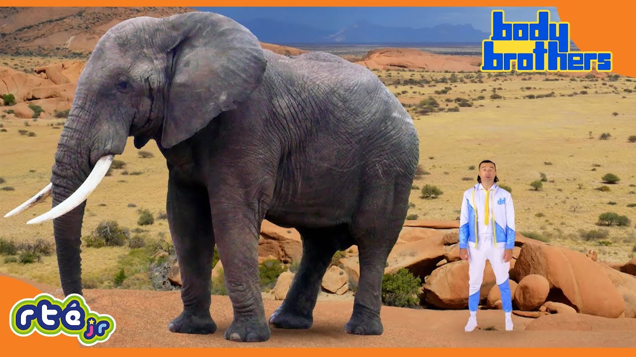 Walk Like An Elephant 🐘🚶 | Fun Elephant Facts | Body Brothers ...