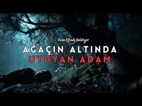 Ağaç Altında Uyuyan Adamın Yaşadığı Korkunç Olaylar | Emin Efendi Korku Hikayeleri