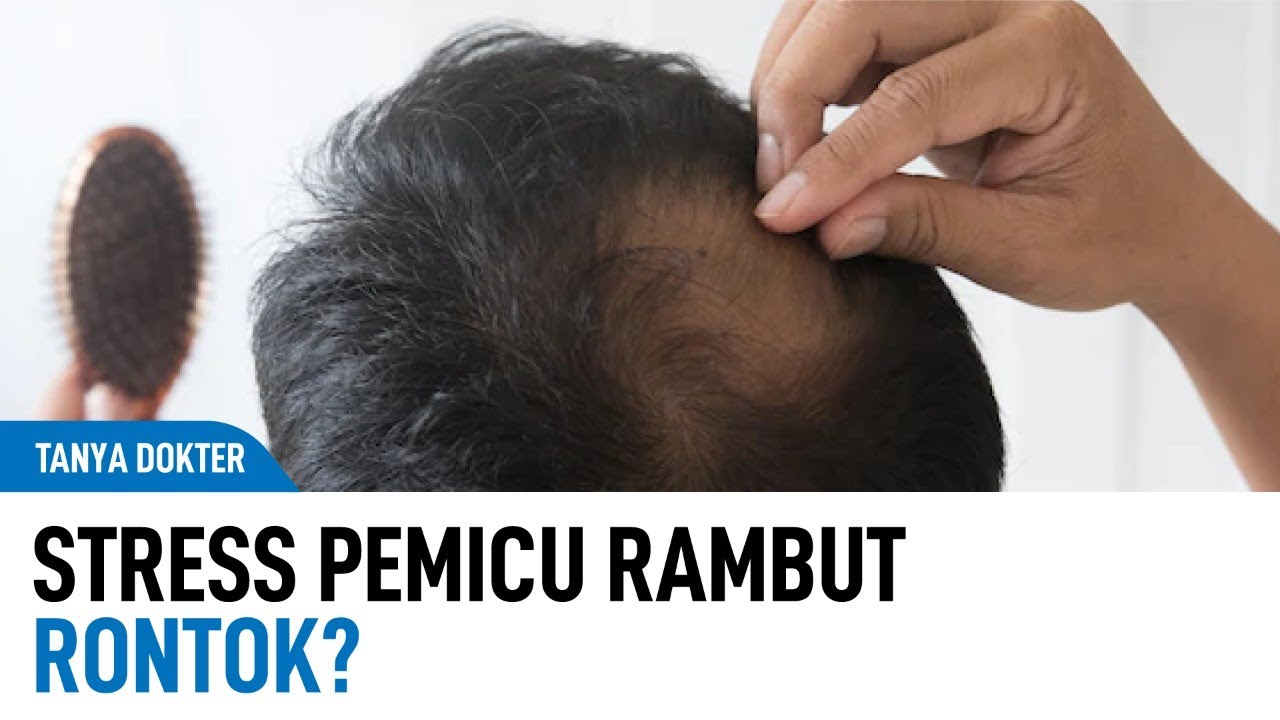 7 Fakta atau Mitos Seputar Rambut Rontok dan Tips Mengatasinya | Kata ...
