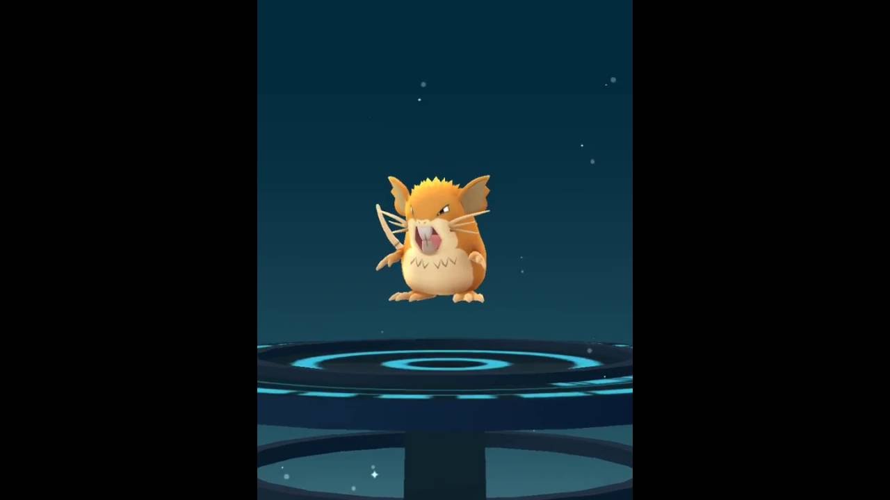 Rattata to Raticate Evolution- Pokemon Go Gameplay - YouTube